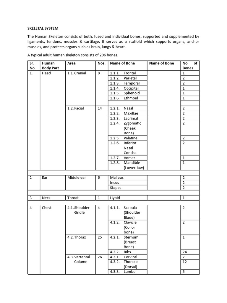 Notes - Skeletal System | PDF | Bone | Skeleton