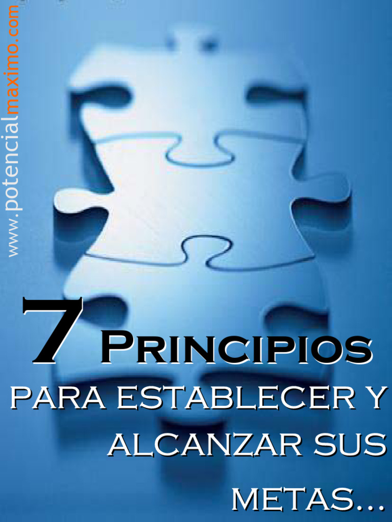 7 Principios para Alcanzar Metas Efectivas | PDF