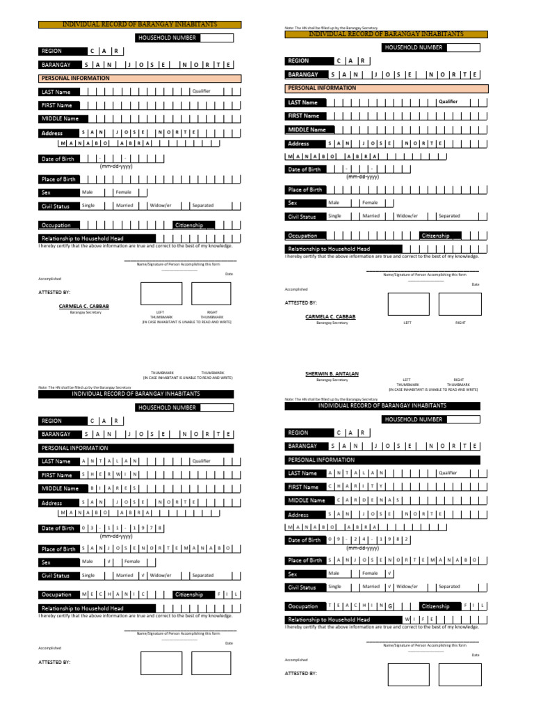 Rbi Form Individual | PDF