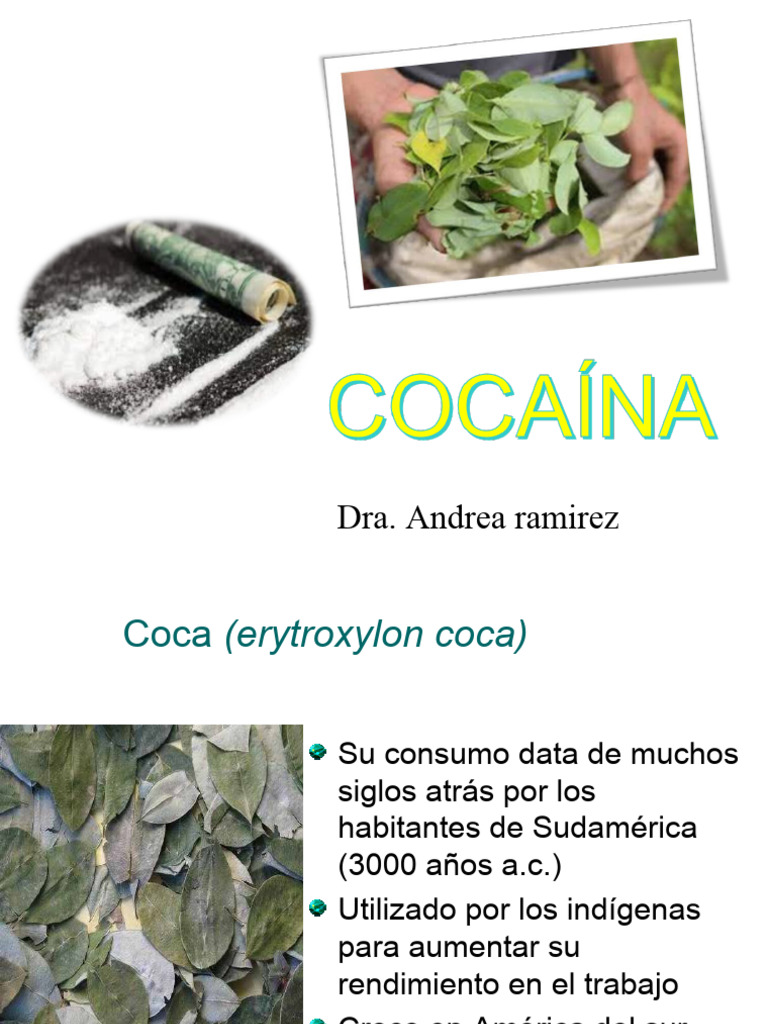 Toxicologia Cocaina Pdf Cocaína Benzodiazepinas