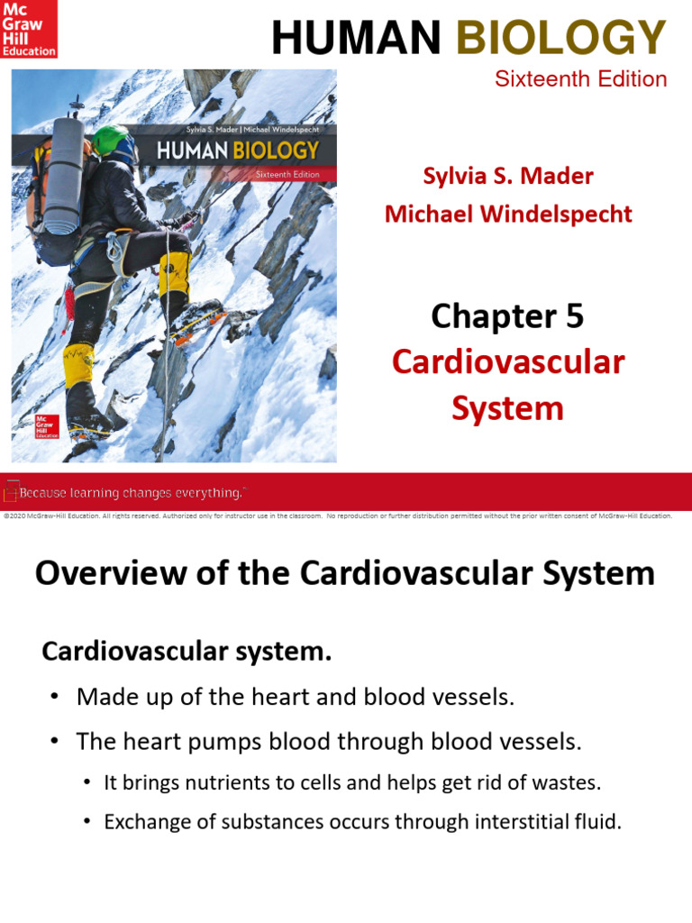 5-Cardiovascular System | Download Free PDF | Heart Valve | Heart