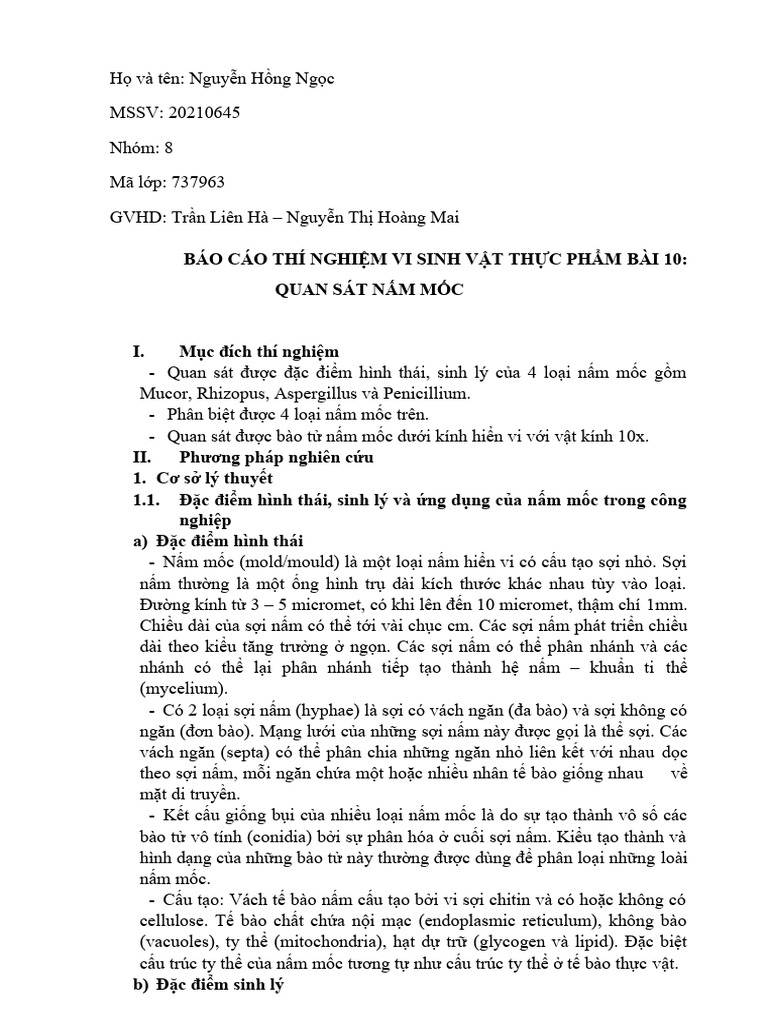 Báo Cáo TN VI Sinh Bài 9 | PDF