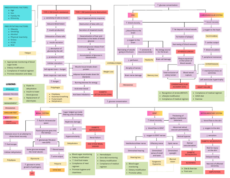 Diabetes Mellitus Type 1 2 Pathophysiology Diagram Pdf Diabetes