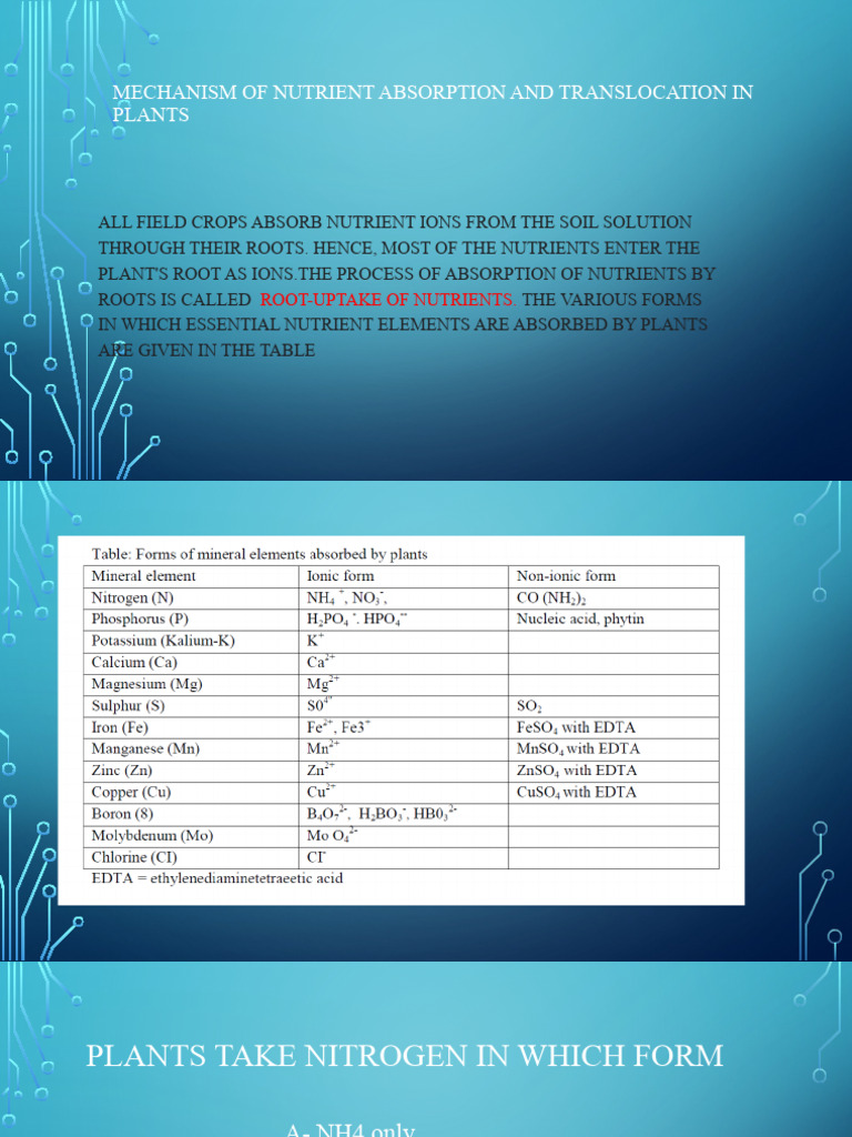 Unit1mech. of Nutrient Absorp.. | PDF | Soil | Ammonium