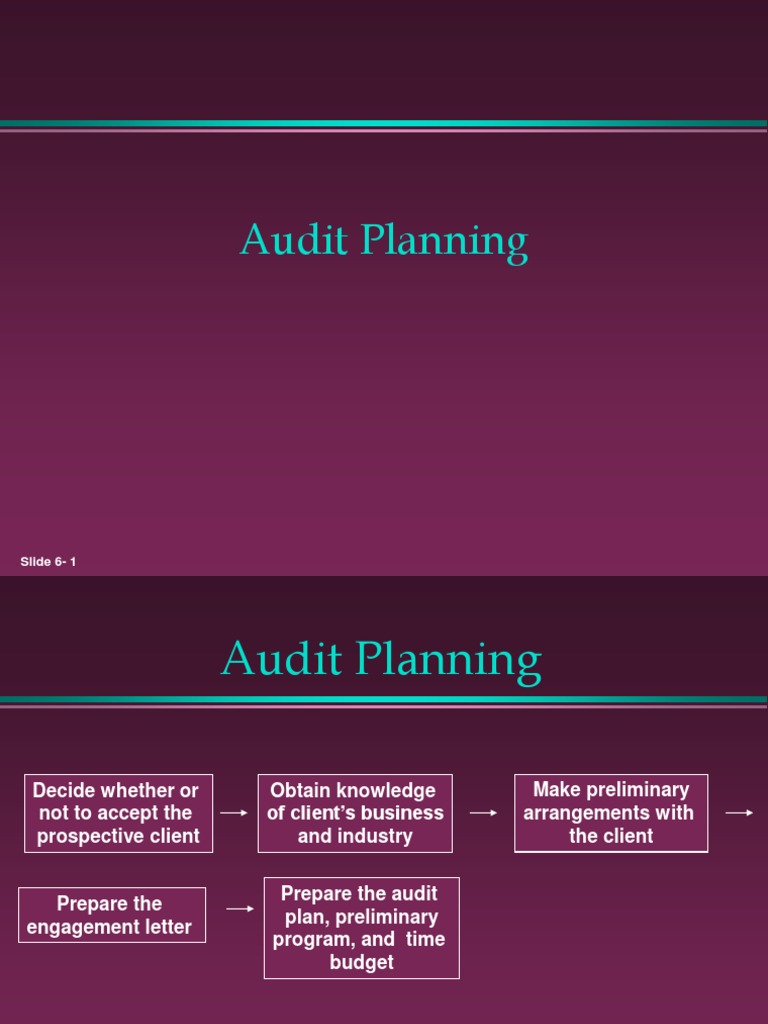 Audit Plan | PDF | Audit | Financial Statement
