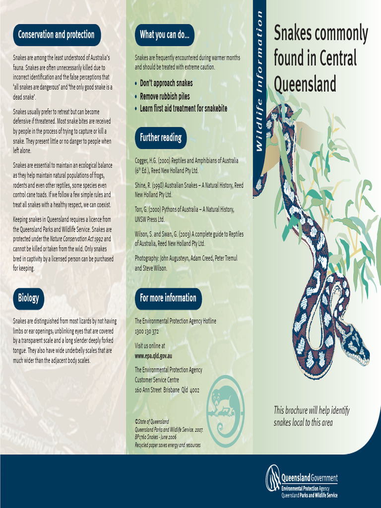 Snakes Commonly Found in Central Queensland | PDF | Snake | Zoology