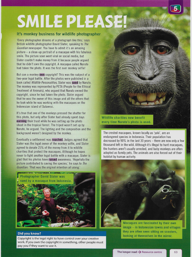 Macmillan Get Involved B1 SB-65 | PDF