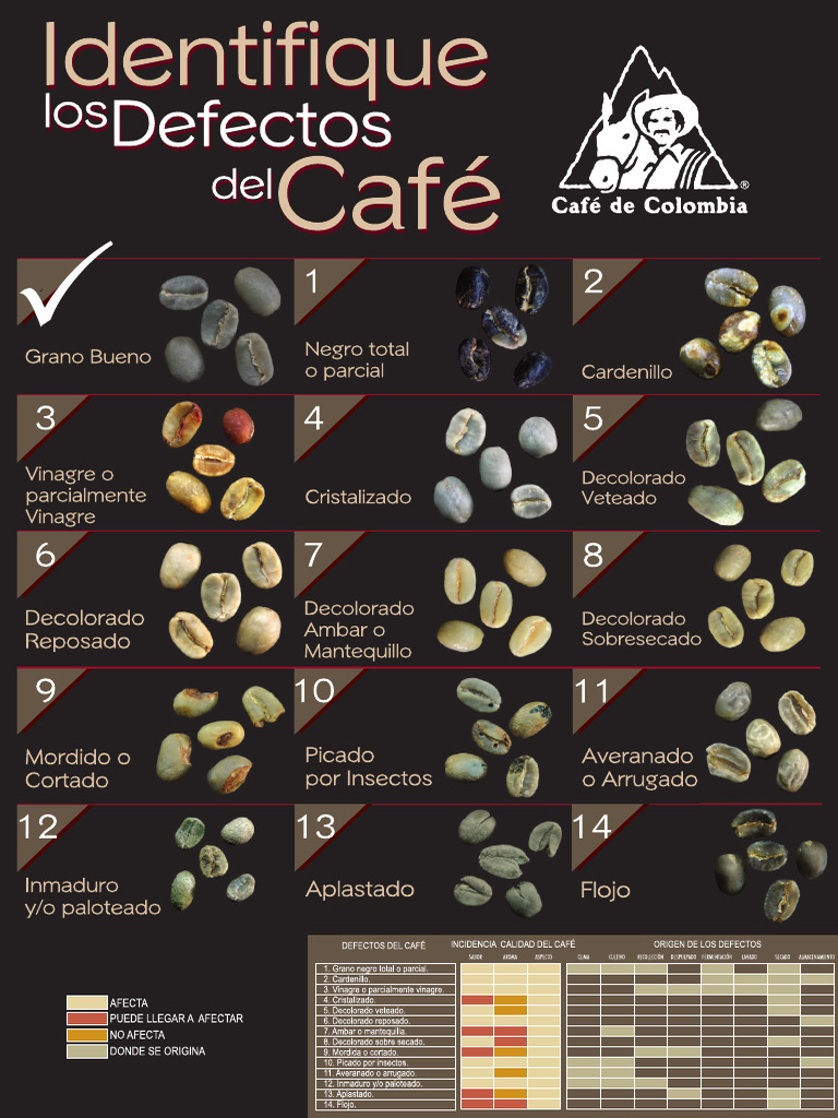 Afiche Defectos Del Cafe Español | PDF