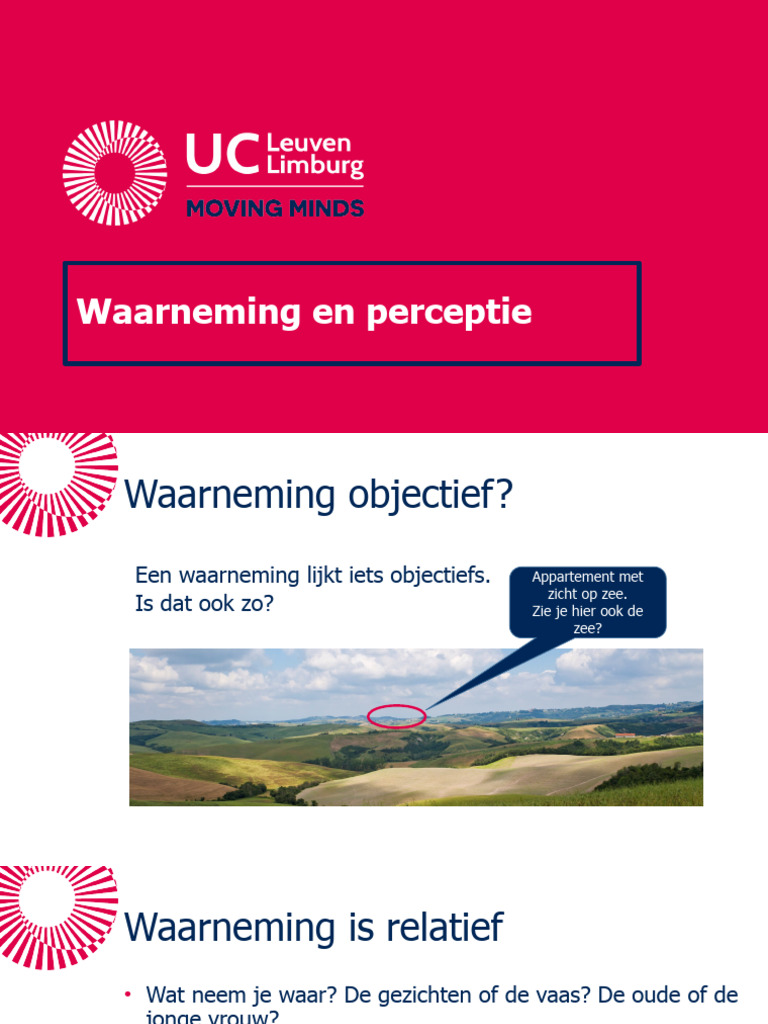 Waarneming en Perceptie | PDF