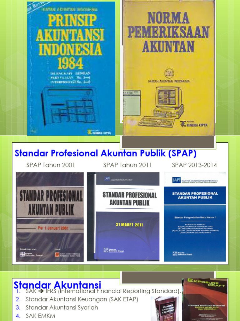 2024 Introduction Audit 1 Dan 2 Pdf
