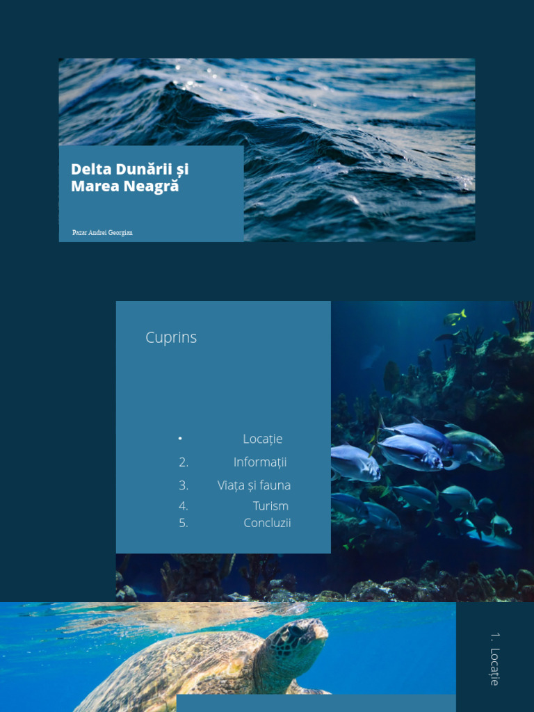 Delta Dunării Și Marea Neagră | PDF