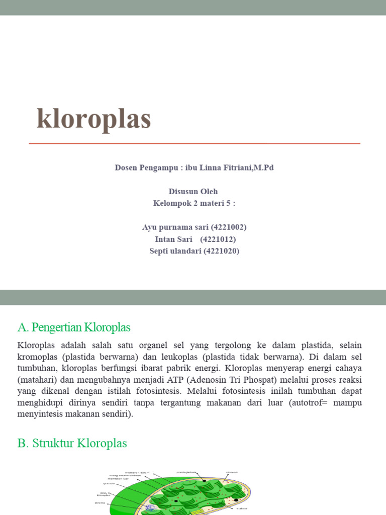 Biologi Sel - Kloroplas - Kel 2 | PDF