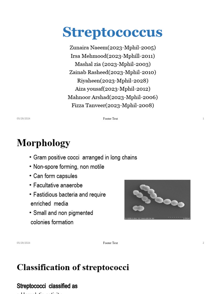 streptococcus | PDF | Streptococcus | Biology