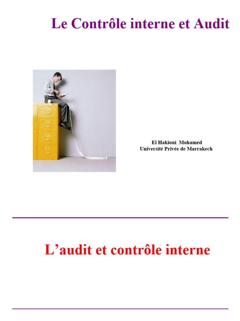 Controle Interne Et Audit-2eme | PDF | Contrôle interne | Audit