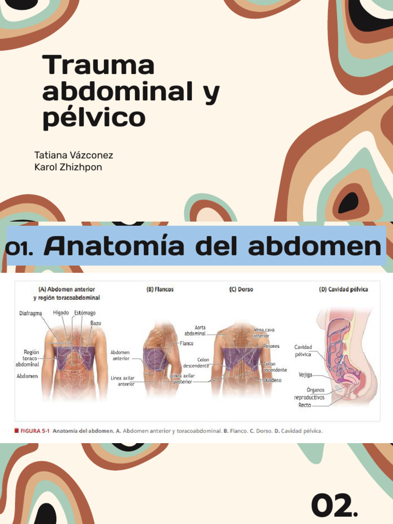 Manejo del Trauma Abdominal y Pélvico | PDF | Peritoneo | Medicina CLINICA