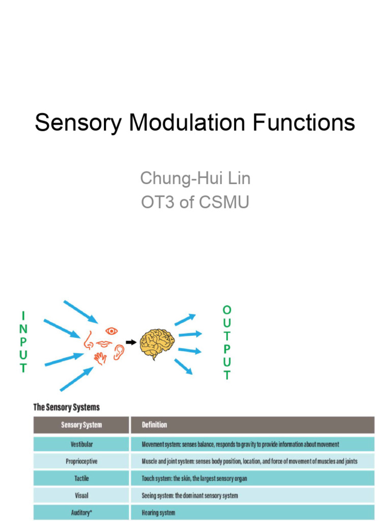 Sensory Modulation Functions | PDF | Sensory Processing Disorder ...