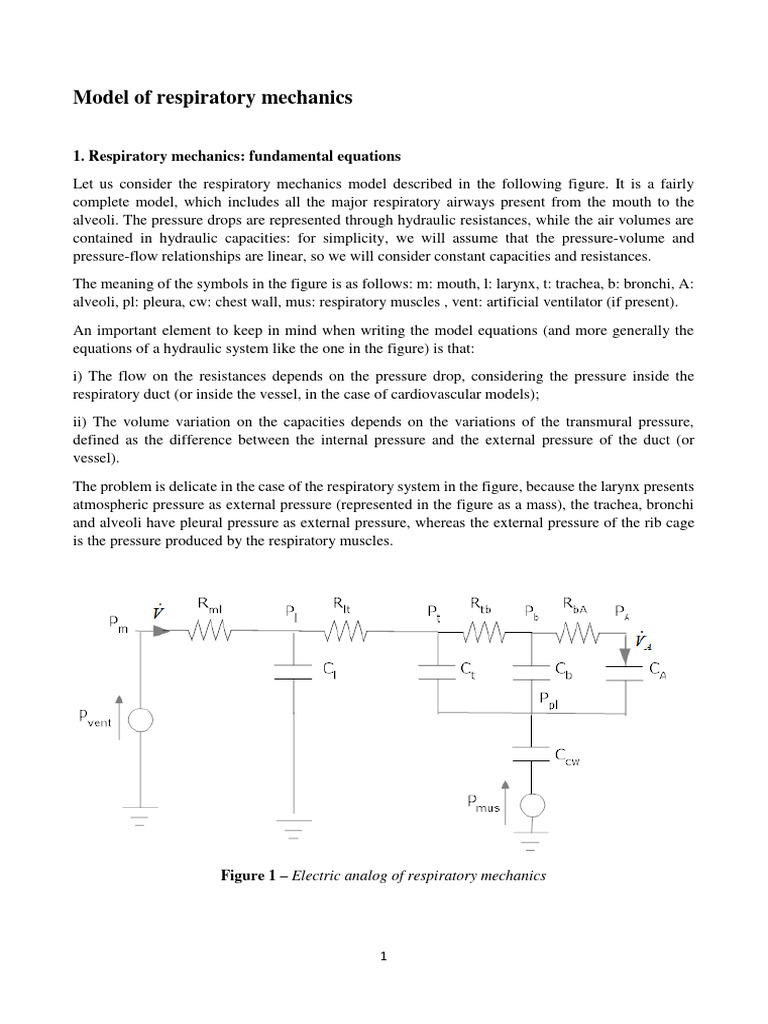 Model of Respiratory Mechanics | PDF | Breathing | Respiratory System