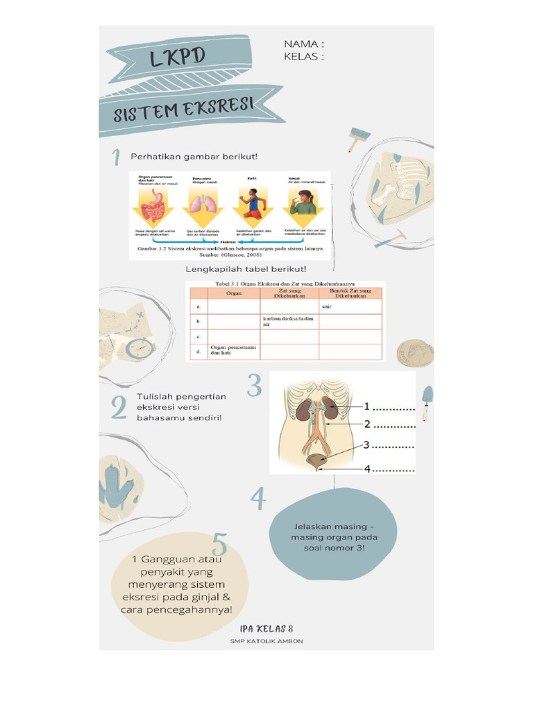 LKPD Ekskresi | PDF