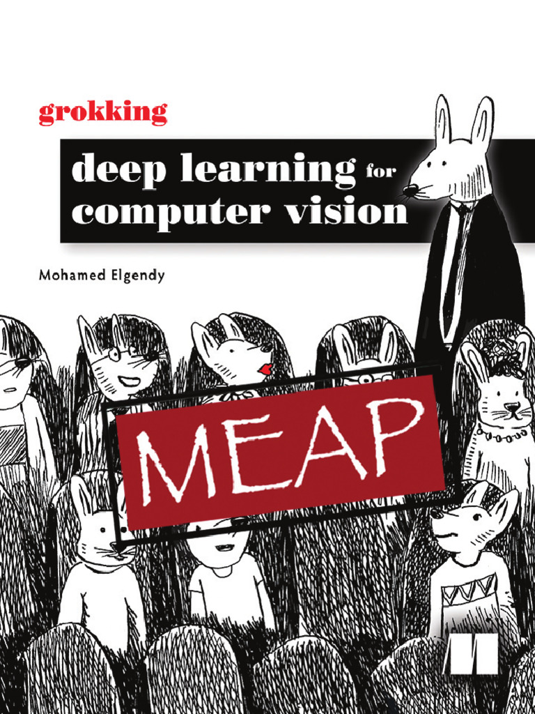 Elgendy GDLFCV MEAP V01 ch1 | Download Free PDF | Computer Vision ...