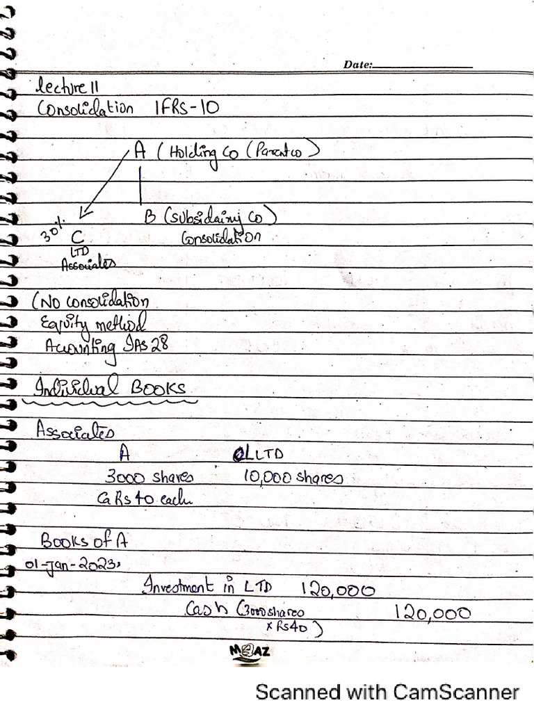 Consolidation Balance Sheet and Income S | PDF