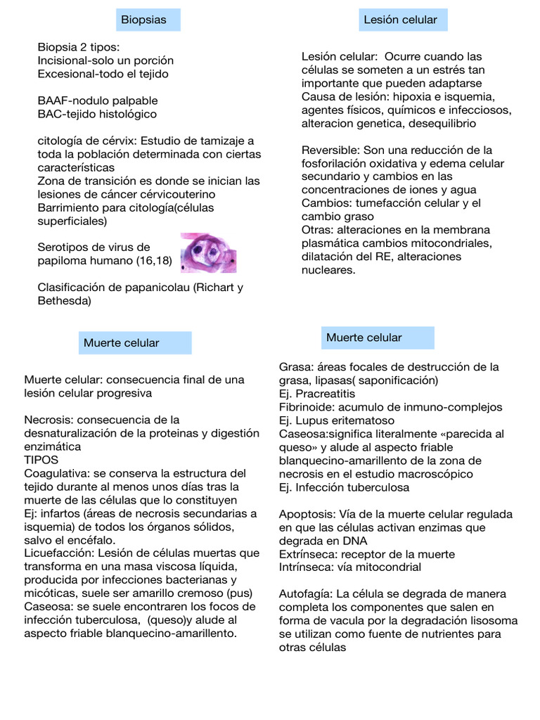 Guía Pato | PDF | Inflamación | Biología Celular
