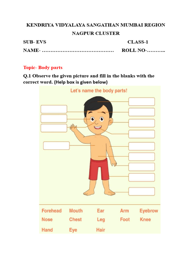 WORKSHEET CLASS 1 EVS New | PDF | Zoology