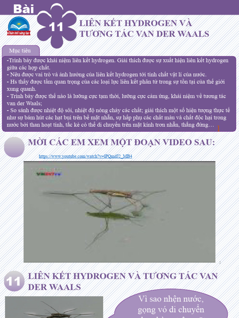Bai 11 Lien Ket Hydrogen Va Tuong Tac Van Der Waals CTST 2320239 | PDF