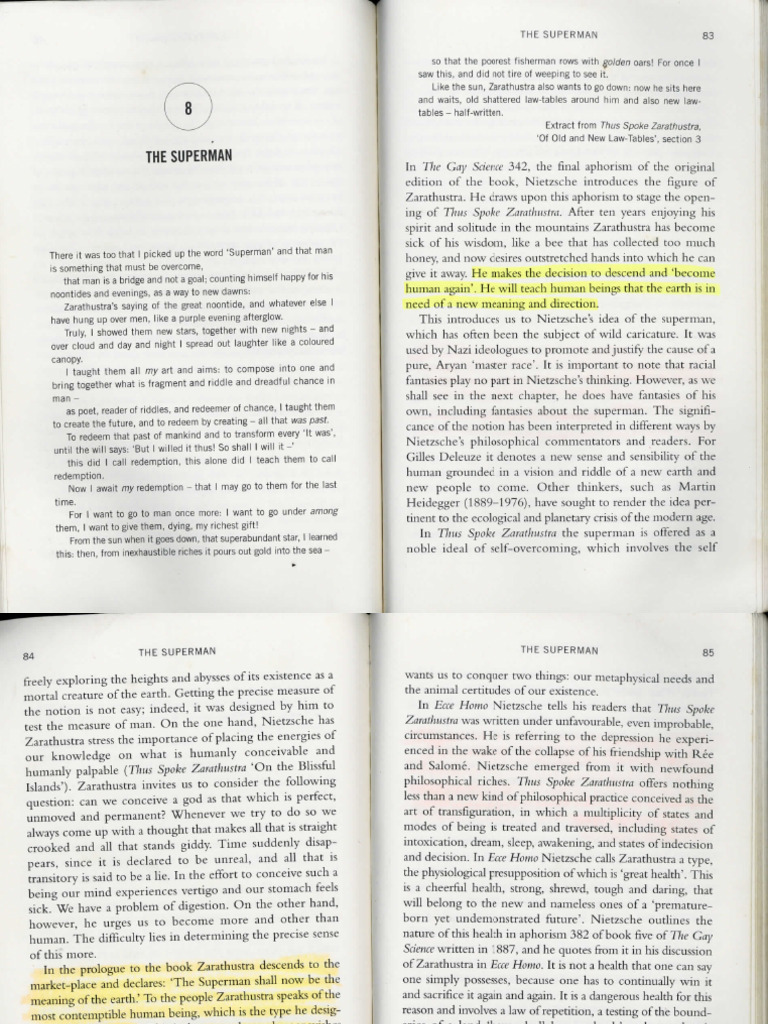 How To Read Nietzsche | PDF