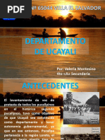 Mapa Político de Ucayali y Distritos | PDF