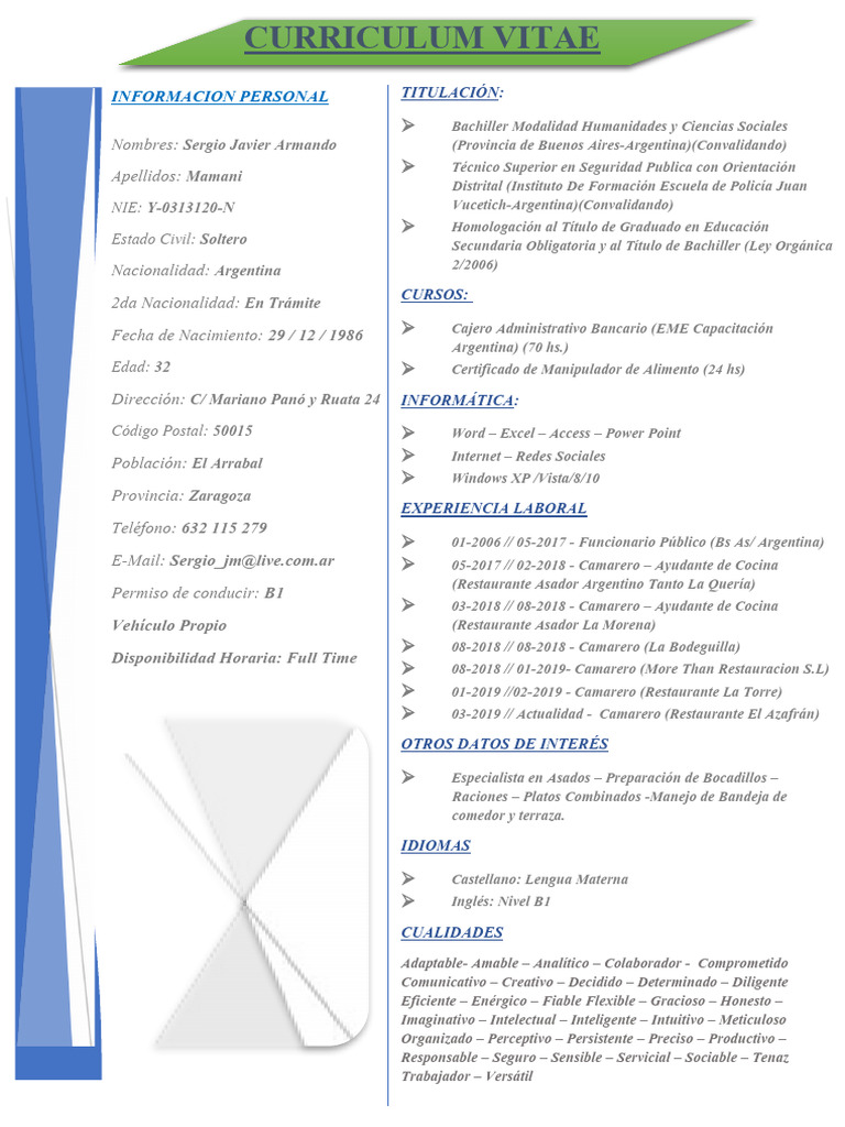 CV Sergio 2019 | PDF