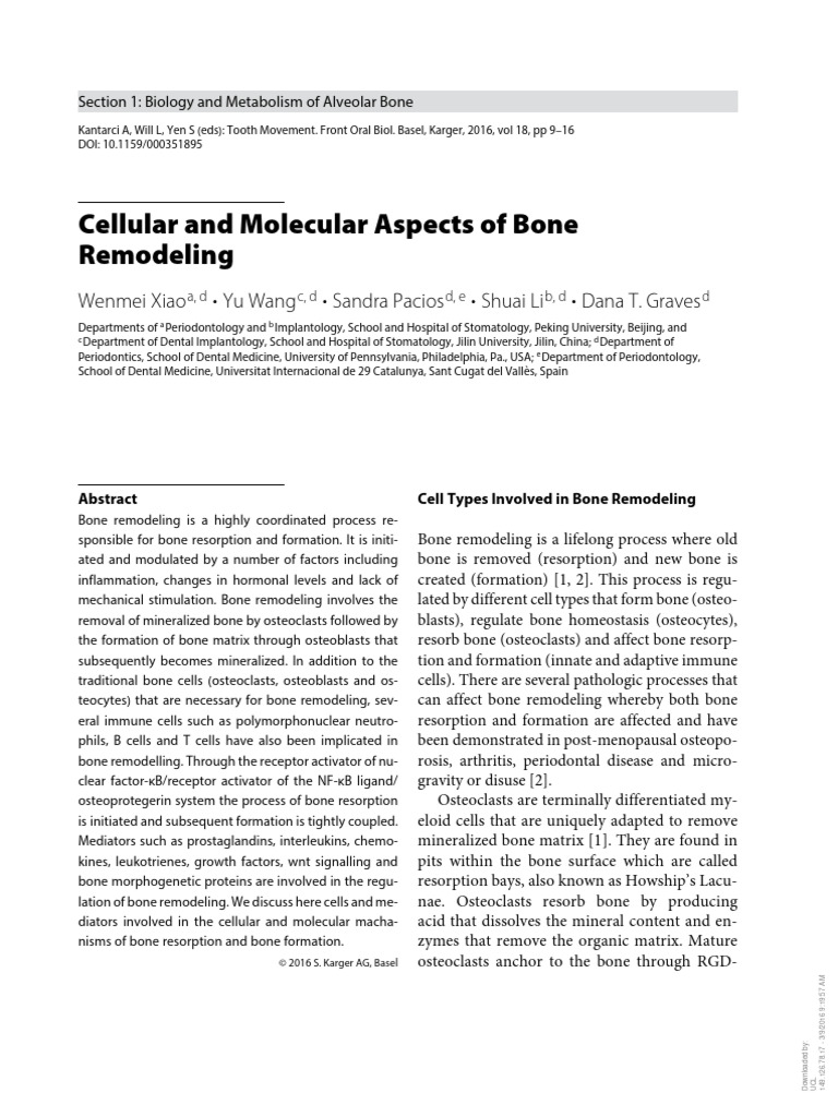 Cellular and Molecular Aspects of Bone Remodeling | PDF | Bone | Osteoblast