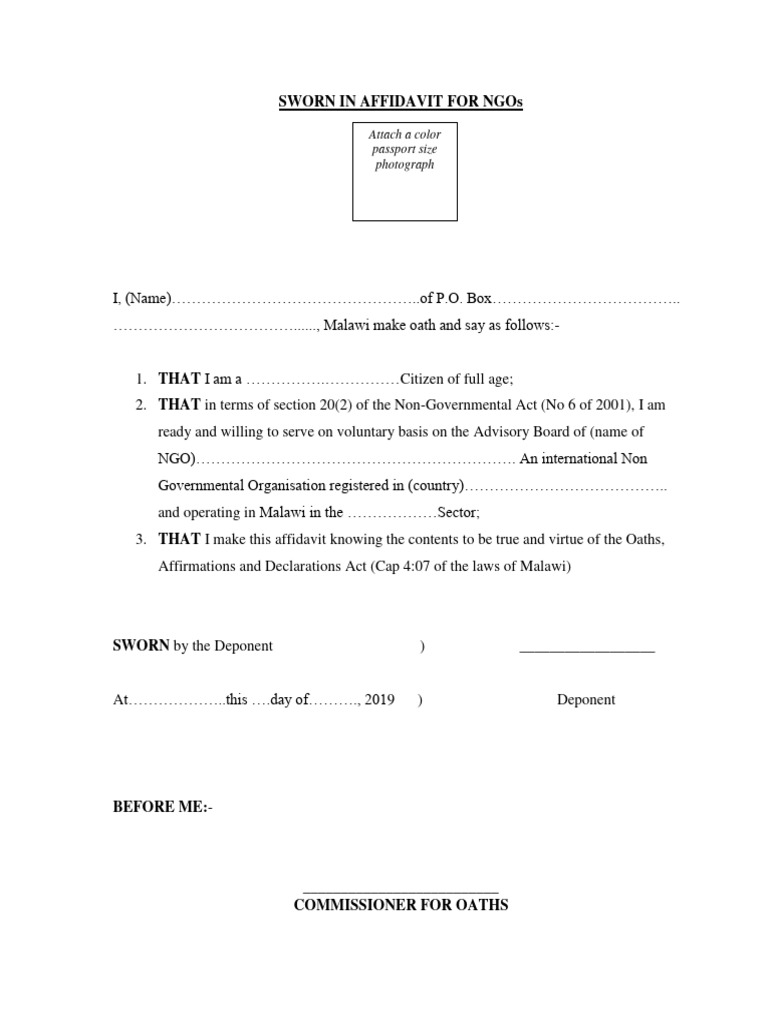 AFFIDAVIT - International NGOs | PDF