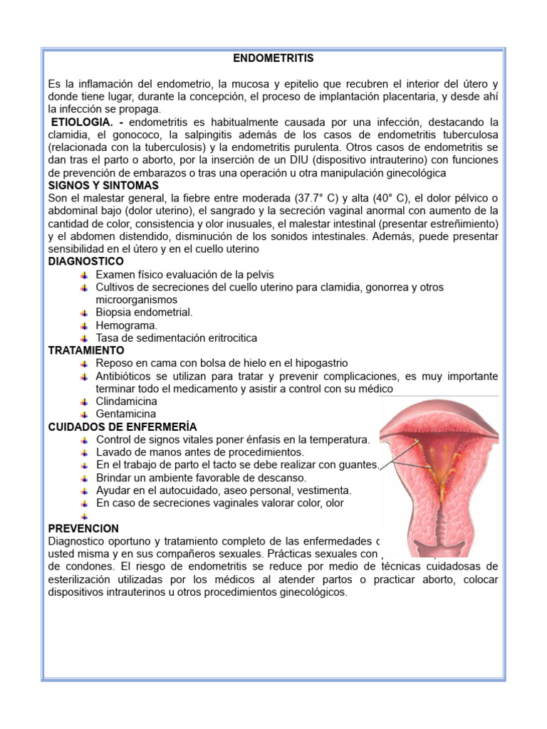 ENDOMETRITIS | PDF | Especialidades Medicas | Enfermedades y trastornos