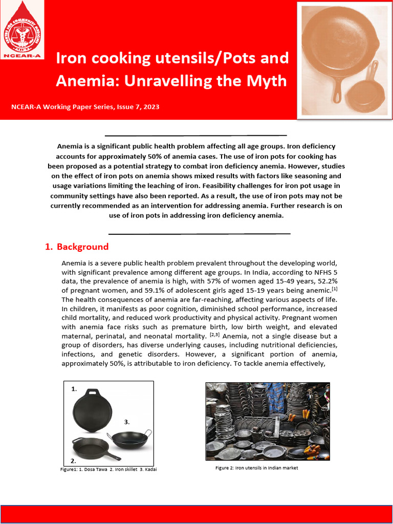 Policy Brief Iron Pots | PDF | Wellness