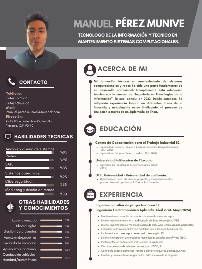 CV Manuel Perez | PDF | Informática | Ingeniería