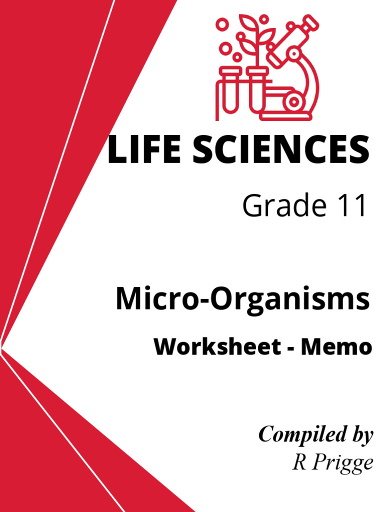 Grade 11 Micro-Organisms Worksheet | PDF | Microorganism | Cell (Biology)