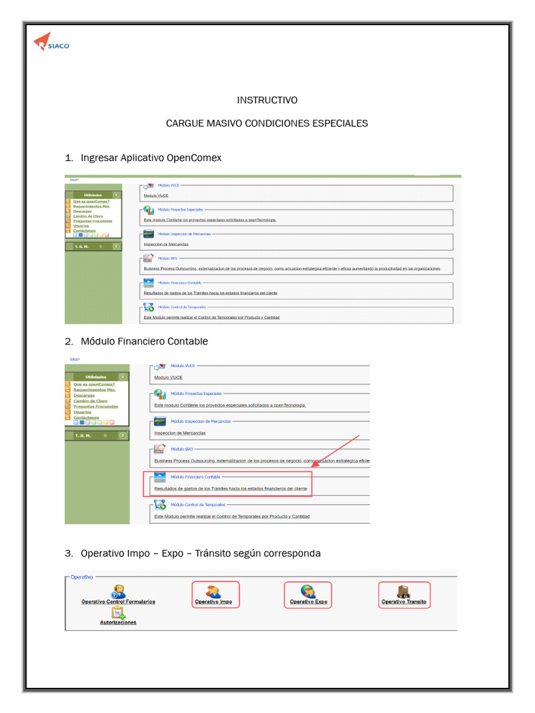 Cargue Masivo Condiciones Especiales | PDF