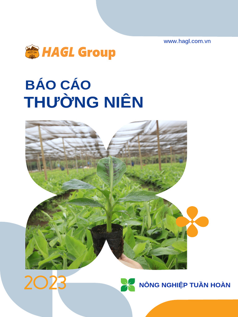 Báo Cáo: Thư NG Niên | PDF