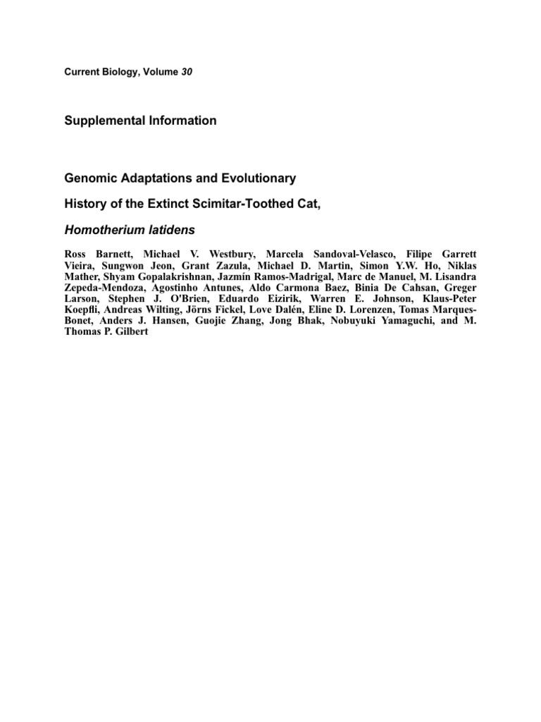 Scimitar-Toothed Cat Genomic Evolution | PDF | Phylogenetics ...