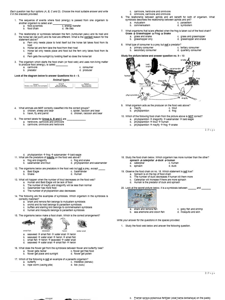 Science #5 | PDF | Predation | Foods