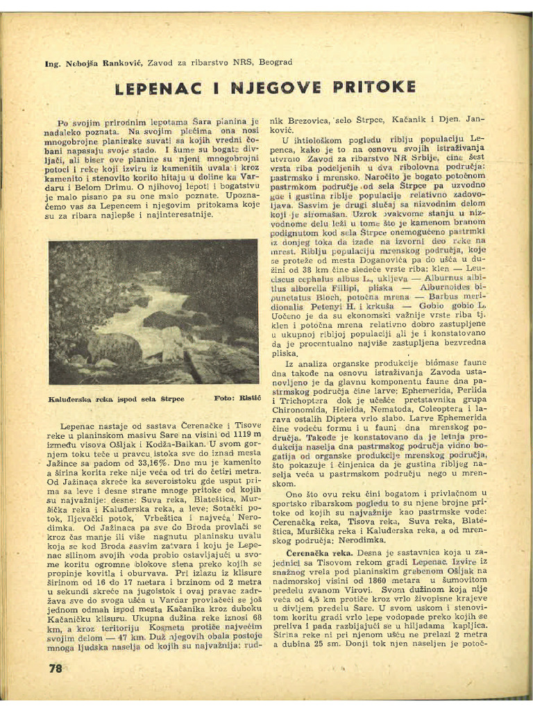1955 - 4-5 - Lepenac I Njegove Pritoke | PDF