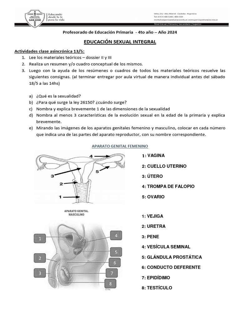 TP Esi Sexualidad | PDF | La sexualidad humana | Sistema reproductivo