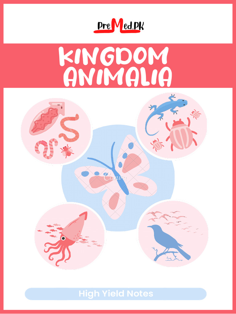 Notes - Kingdom Animalia | PDF | Sponge | Zoology