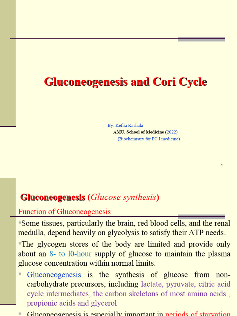 Gluconeogenesis & Cori Cycle | PDF | Glycolysis | Pyruvic Acid
