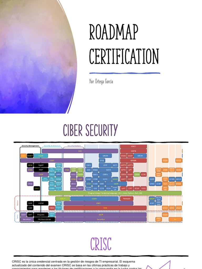 RoadMap 1 | PDF | Auditoría