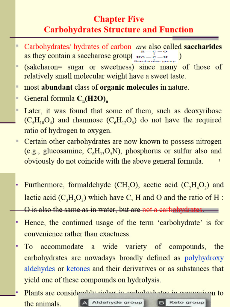 Carbohydrate Structure and Function | Download Free PDF | Carbohydrates ...