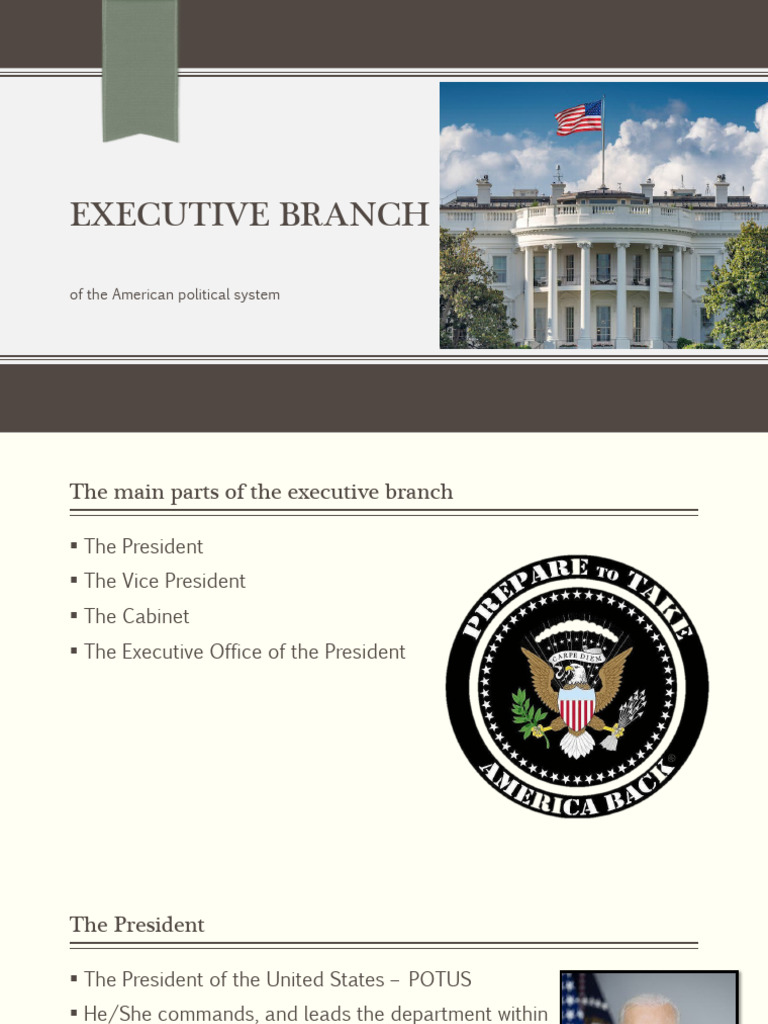 Overview of the U.S. Executive Branch | PDF