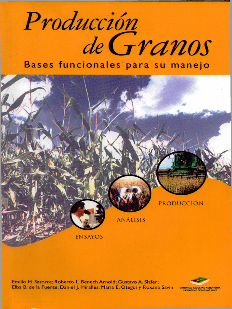 SATORRE - Producción de Granos | PDF SATORRE - Producción de Granos | PDF