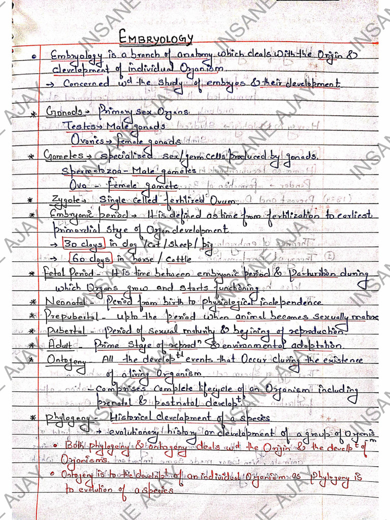 Embryology Anatomy Notes | PDF