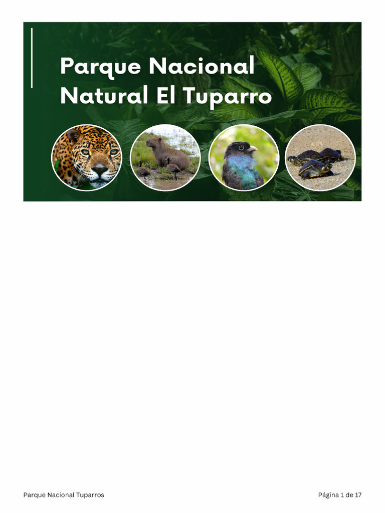 Parque Nacional Tuparros | PDF